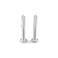China Plain Finish Stainless Steel Carbon Steel Scm435 Ruspert Tek Bi Metal Wafer Head Cross Driver Drilling Screw for sale