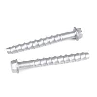 China Secure Your Concrete Walls with Reusable M12x125 Hex Head Saw Thread Concrete Anchor for sale