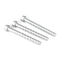 China Secure Your Concrete Walls with Reusable M12x125 Hex Head Saw Thread Concrete Anchor for sale