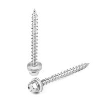 China 60mm Washer Hex Type17 Ruspert Chipboard Screws for Window Durable Timber Decking Deck Screw for sale