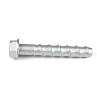 China Stainless Steel 3/4''x5'' Hex Head Self Tapping Anchor Bolt for Concrete Building for sale
