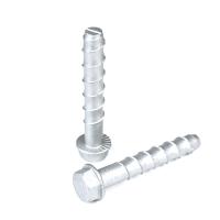 China Hex Head Heavy Duty Stainless Steel Concrete Masonry Anchors Bolts for Network Protection for sale