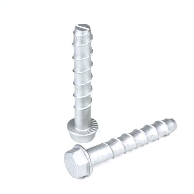China Hex Head Heavy Duty Stainless Steel Concrete Masonry Anchors Bolts for Network Protection for sale