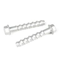 China 100% QC Tested Hex Flange Stainless Steel Concrete Anchors Bolt for Supporting System for sale