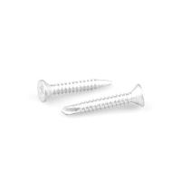 China Strong Metope Fastening ST4.2 Bi-Material Self-Drilling Screw with ZINC PLATED Finish for sale