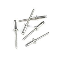 China Corrosion Resistant Stainless Steel Ss316 Open Type Blind Rivets with Domed Head for sale
