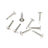 China Customized 4.8mm Wafer Head Phillips Drive Screws 304 Stainless Steel Self Drilling Screw for sale