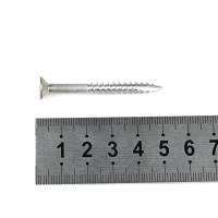 China Wooden Ceiling Partition Installation Oval Head 316 and 304 Stainless Steel Deck Screws for sale
