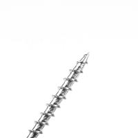 China Wood Construction Torx Drive 100mm Decking Screw Carefully Crafted SS304 Stainless Steel for sale
