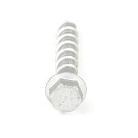 China Stainless Steel Flange Hex Masonry Anchor Screws for Guardrail Fixing Tornillos Bolt for sale