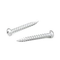 China Torx Drive Stainless Steel304 Coated Deck Ground Screw for Wooden Ceiling Partition for sale
