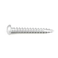 China Torx Drive Stainless Steel304 Coated Deck Ground Screw for Wooden Ceiling Partition for sale