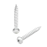 China Torx Drive Stainless Steel304 Coated Deck Ground Screw for Wooden Ceiling Partition for sale