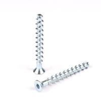 China SUS410/SUS410 SUS304/10B21/1022 Hex Socket Csk Head Concrete Screw for Concrete Building for sale