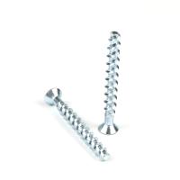 China SUS410/SUS410 SUS304/10B21/1022 Hex Socket Csk Head Concrete Screw for Concrete Building for sale