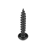 China 100% QC Tested 20mm Black Galvanized Chipboard Screws for Wooden Floors Torx Drive for sale