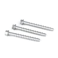 China Plain Finish Heavy Duty Hex Zinc Plated Concrete Screw Anchor for Outdoor Billboards for sale
