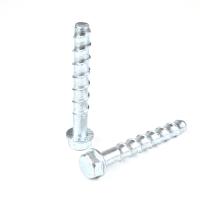China 100mm M16 Carbon Steel Zinc Plating HEX Head Concrete Screw Bolt for 100% QC Test for sale