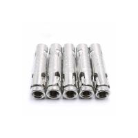China Stainless Steel M10 Expansion Shield Anchor for Strong and Durable Concrete Structures for sale