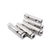 China Stainless Steel M10 Expansion Shield Anchor for Strong and Durable Concrete Structures for sale