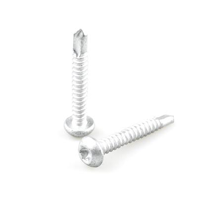 China Stainless Steel Pan Head Torx Bi Metal Self Drilling Screw According to Customers Needs for sale