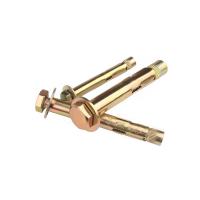 China Expansion Wedge Anchor Bolt Steel Grade 4.8 M6 M8 M10 M12 Hex Bolt Sleeve Expansion Anchor for sale