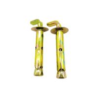 China Secure Fixing with Zinc Plating Carbon Steel Water Heater Expansion Anchor Hook Screw for sale