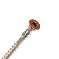 China Plain Finish Stainless Steel Countersunk Torx Head Double Thread Drywall Screw for Fixing for sale