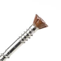 China Plain Finish Stainless Steel Countersunk Torx Head Double Thread Drywall Screw for Fixing for sale