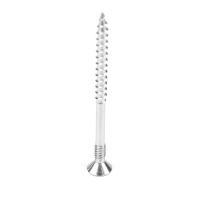 China 100mm Stainless Steel Double Thread Countersunk Torx Head Drywall Screw for sale