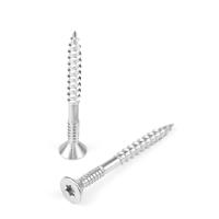China Stainless Steel Torx Double Thread Gypsum Plasterboard Screw with Pozidriv Drive Type for sale