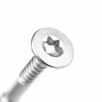 China Stainless Steel Torx Double Thread Gypsum Plasterboard Screw with Pozidriv Drive Type for sale