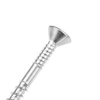 China Stainless Steel Torx Double Thread Gypsum Plasterboard Screw with Pozidriv Drive Type for sale
