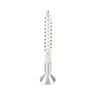 China Stainless Steel Torx Double Thread Gypsum Plasterboard Screw with Pozidriv Drive Type for sale