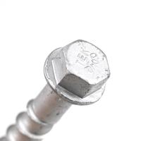 China Concrete Building M10 Hex Washer Head Concrete Bolts for Secure Rebar from Customized for sale