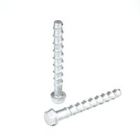 China Stainless Steel Hex Head Masonry Concrete Anchors Bolts Screws for Power Supply Support for sale
