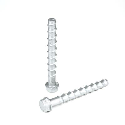 China Stainless Steel Hex Head Masonry Concrete Anchors Bolts Screws for Power Supply Support for sale