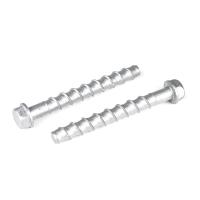 China Stainless Steel Hex Head Masonry Concrete Anchors Bolts Screws for Power Supply Support for sale