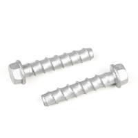 China 100% QC Tested Carbon Steel Hex Head Concrete Anchor Bolts Screw Tornillos De Anclaje for sale