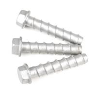 China 100% QC Tested Carbon Steel Hex Head Concrete Anchor Bolts Screw Tornillos De Anclaje for sale