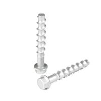 China Rail Traffic Flange Hexagonal Stainless Steel Heavy Duty Concrete Screw Anchors M12 100mm for sale