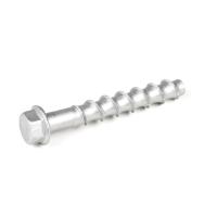 China Rail Traffic Flange Hexagonal Stainless Steel Heavy Duty Concrete Screw Anchors M12 100mm for sale