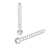 China M6 75mm Stainless Steel Hex Head Concrete Anchor Bolt for Thread Rod Payment Term T/T for sale