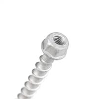 China M6 75mm Stainless Steel Hex Head Concrete Anchor Bolt for Thread Rod Payment Term T/T for sale