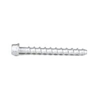 China M6 75mm Stainless Steel Hex Head Concrete Anchor Bolt for Thread Rod Payment Term T/T for sale