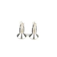 China T/T Payment Term Metric Self Drilling Roofing Screws for Easy and Building Renovation for sale