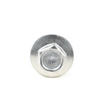 China 100% QC Test Wafer Head Stainless Steel Five Angles Flange Self Drilling Security Screws for sale