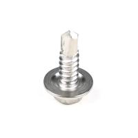 China 100% QC Test Wafer Head Stainless Steel Five Angles Flange Self Drilling Security Screws for sale