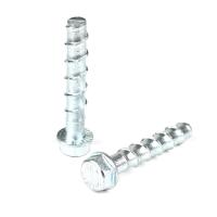 China Hex Head Self Drilling Anchor Bolt Concrete Bolt for 100% QC Test and T/T Payment Term for sale