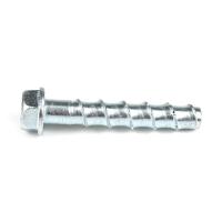 China Hex Head Self Drilling Anchor Bolt Concrete Bolt for 100% QC Test and T/T Payment Term for sale
